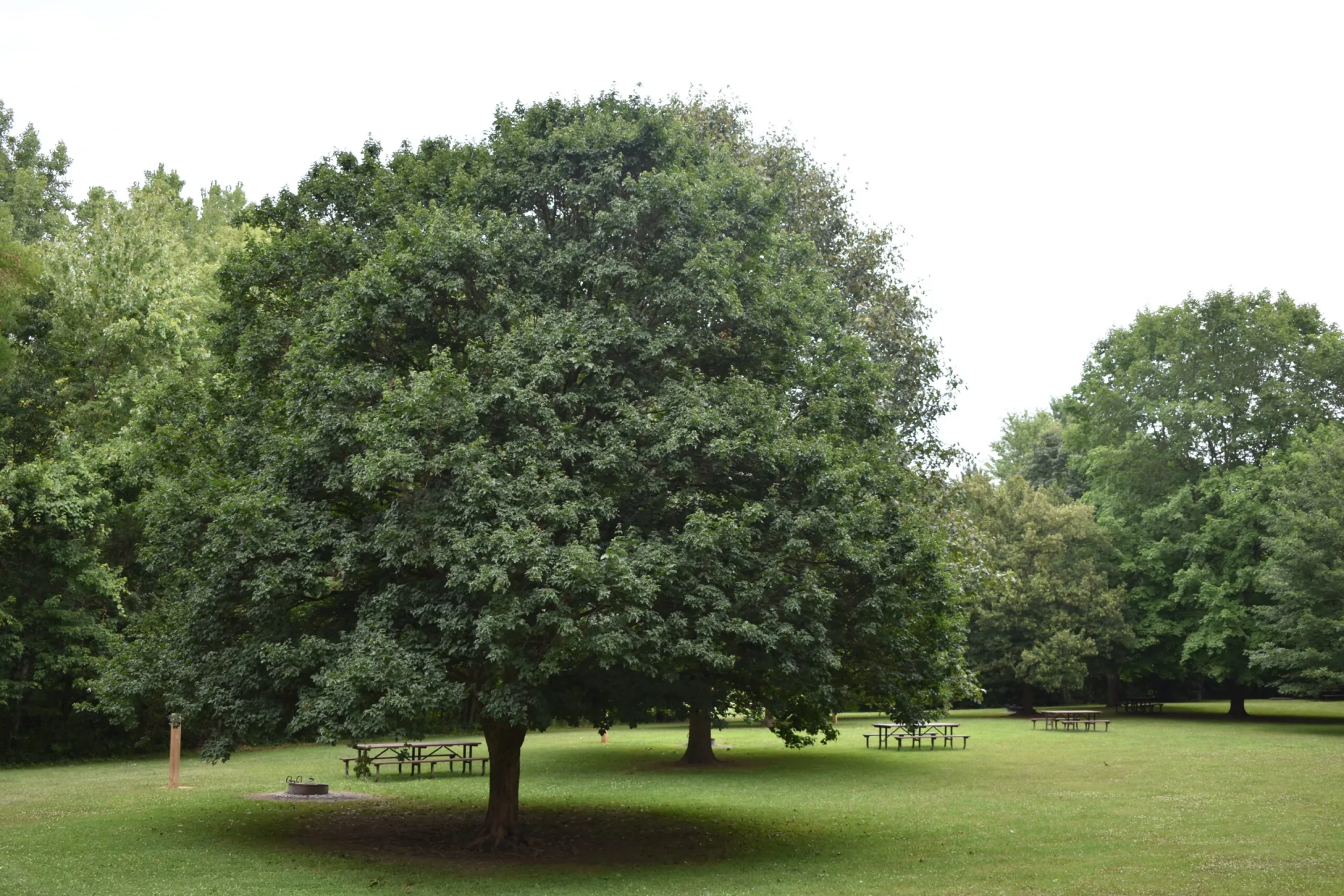Riverbend Campgrounds - Visit Findlay